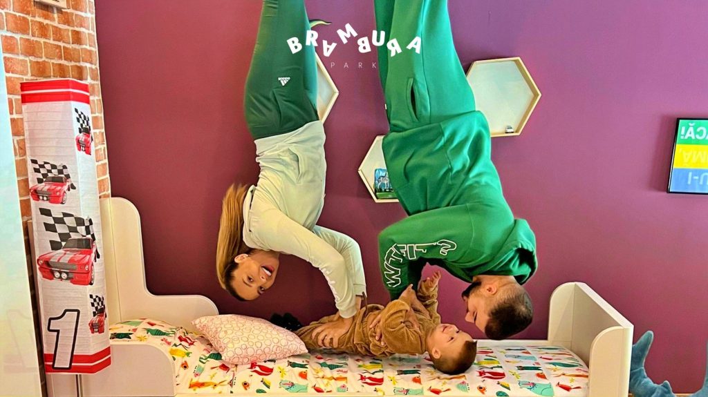 Casa Întoarsă Brambura Park Avrig 🏠 | Prețuri, Program, Foto