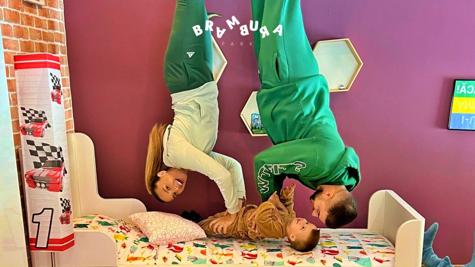 Casa Întoarsă Brambura Park Avrig 🏠 | Prețuri, Program, Foto